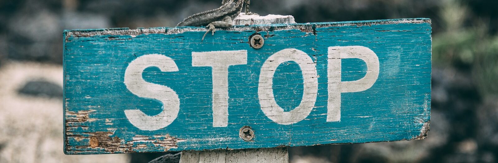 스마트폰 없는 삶을 향한 여정 - 도트타이머 - 공식홈페이지 doti Korea